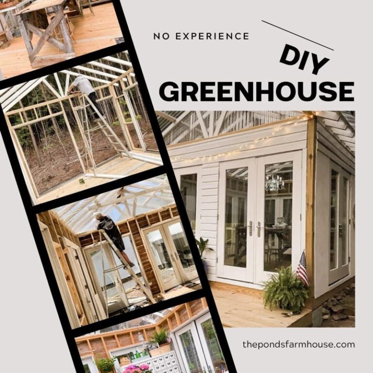 How To Build a DIY Greenhouse With No Experience.