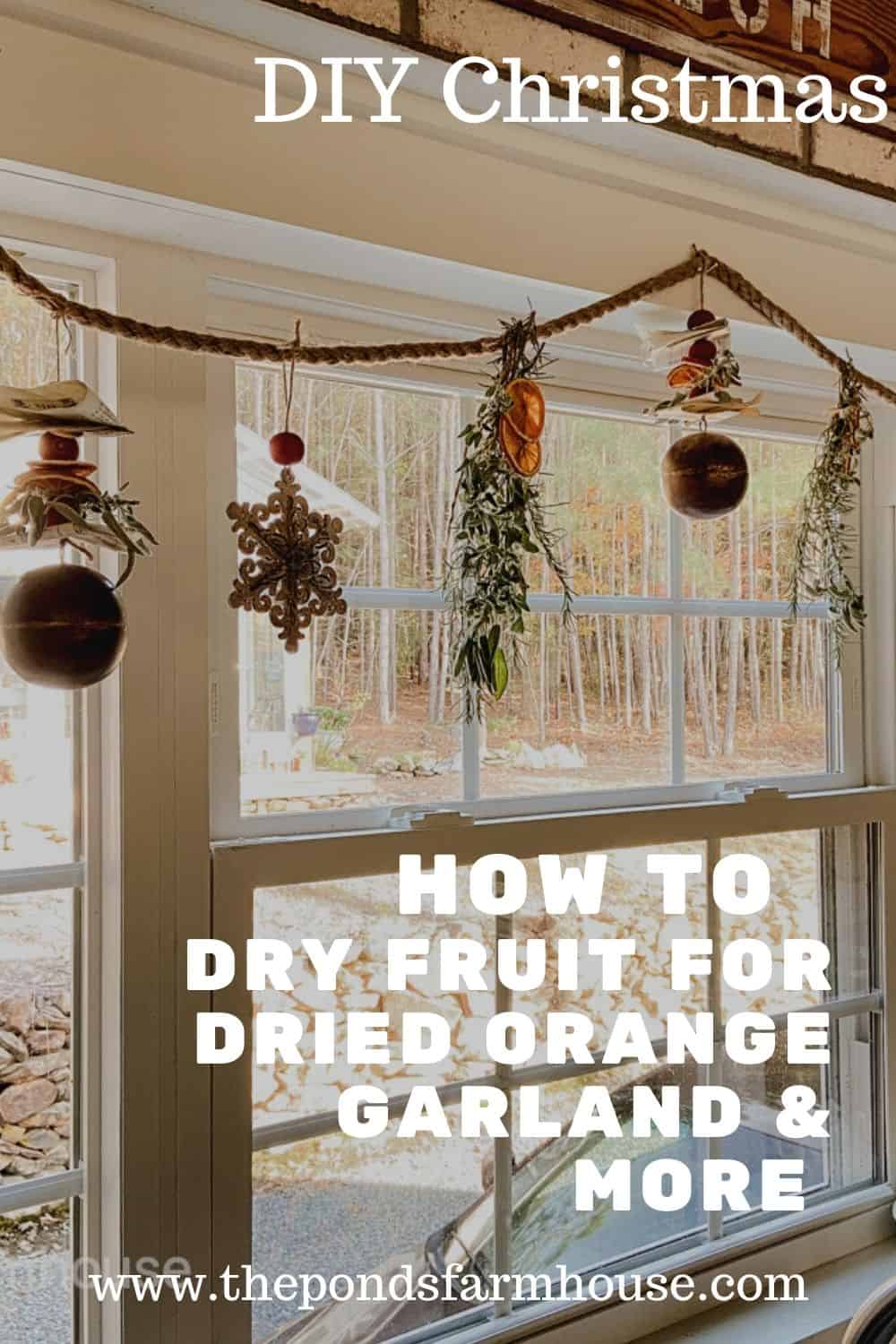 How to Dry Fruit to make a dried orange garland for Christmas