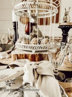 Decorating with Bird Cages: 5 Unique Home Decor Ideas