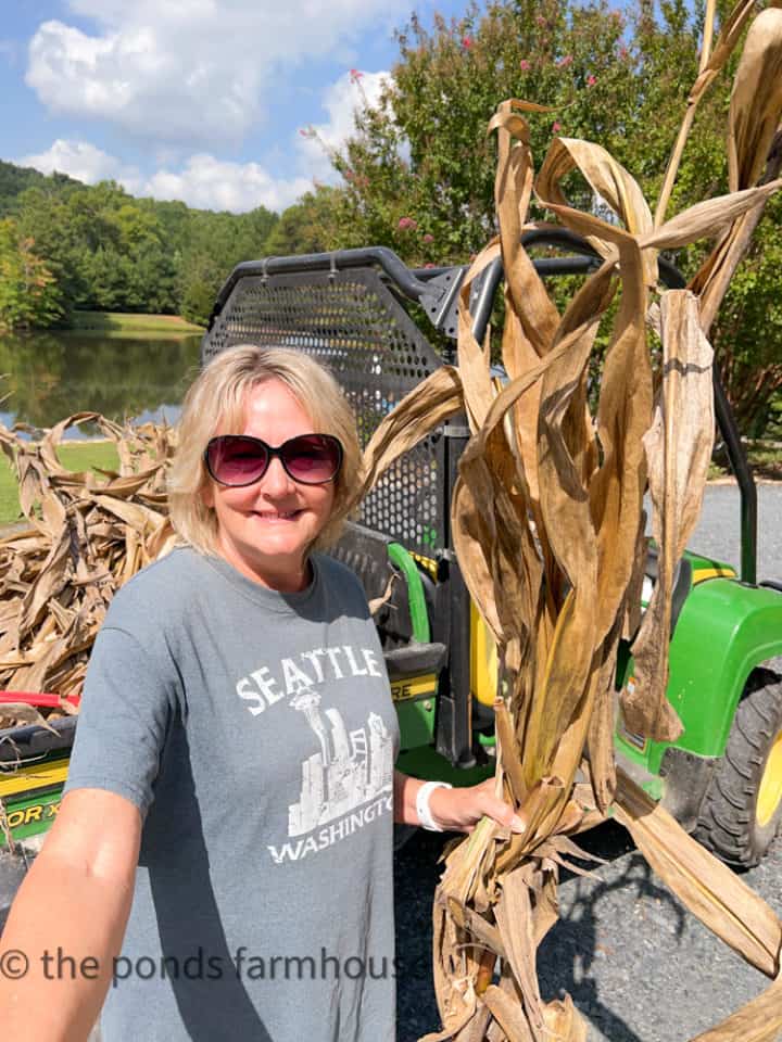 How To Make A Fall Garland with Dried Corn Stalks Decor Ideas