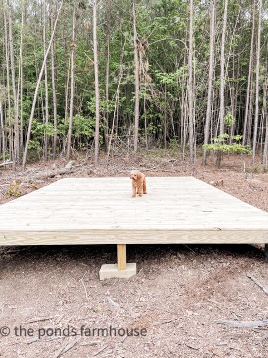 How To Build a DIY Greenhouse With No Experience.