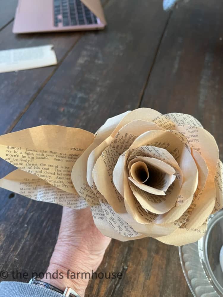 Paper Rose Hartford