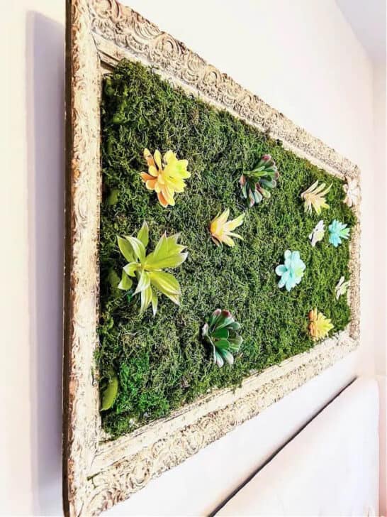 19 Ways To Up-cycle Vintage Picture Frames found at Thrift Stores