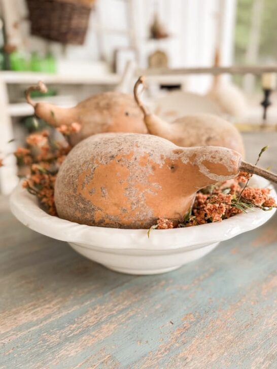 15 + Decorative Bowl Filler Ideas for Creative Fall Decor