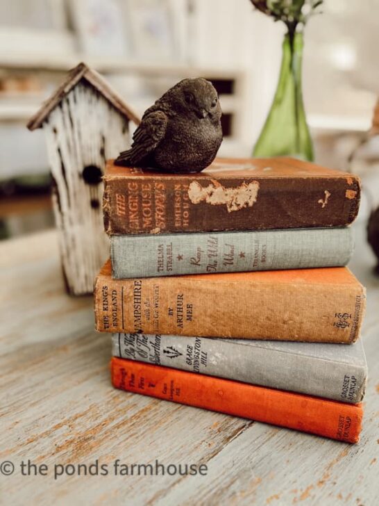 How To Decorate With Thrifted Vintage Books 10 + Creative Ideas