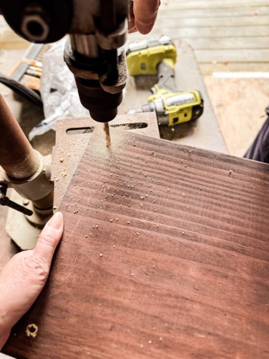 Easy Flower Press: Upcycle Scrap Wood To Preserve Botanicals
