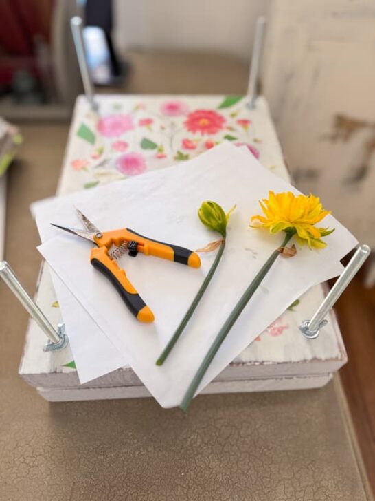 Easy Flower Press: Upcycle Scrap Wood To Preserve Botanicals