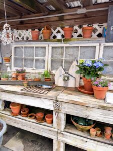 Easy Container Garden Ideas To Spruce Up Your Outdoor Spaces