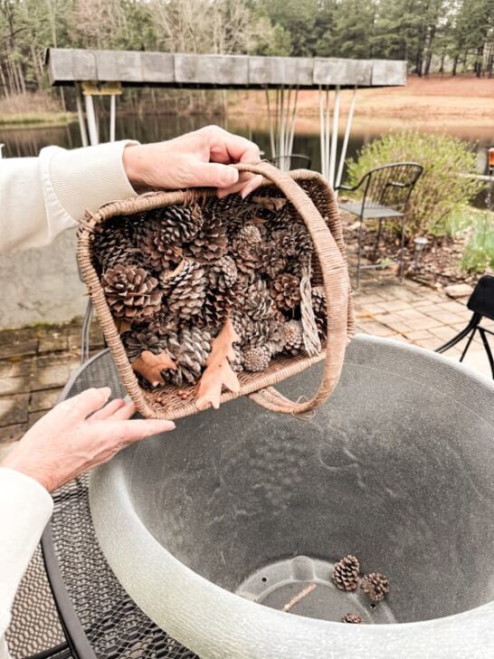 Easy Container Garden Ideas To Spruce Up Your Outdoor Spaces