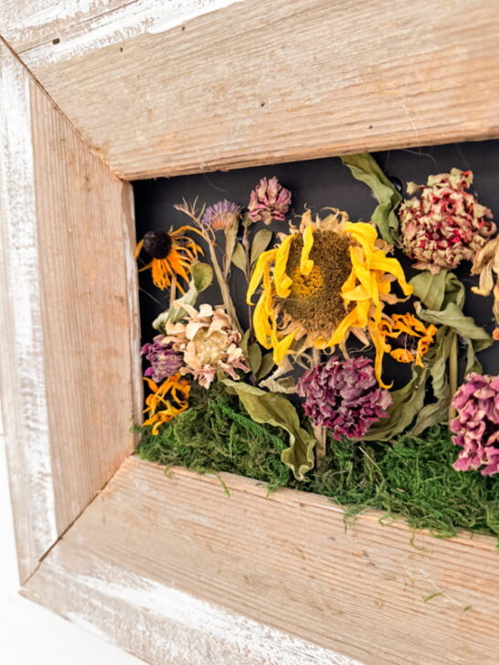 How To Create Art With Framed Dried Flowers: Easy Craft